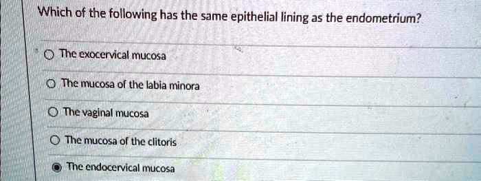 Which of the following has the same epithelial lining as the ...