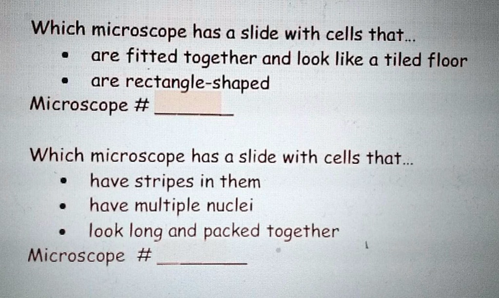 SOLVED: Which microscope has a slide with cells that. are fitted ...