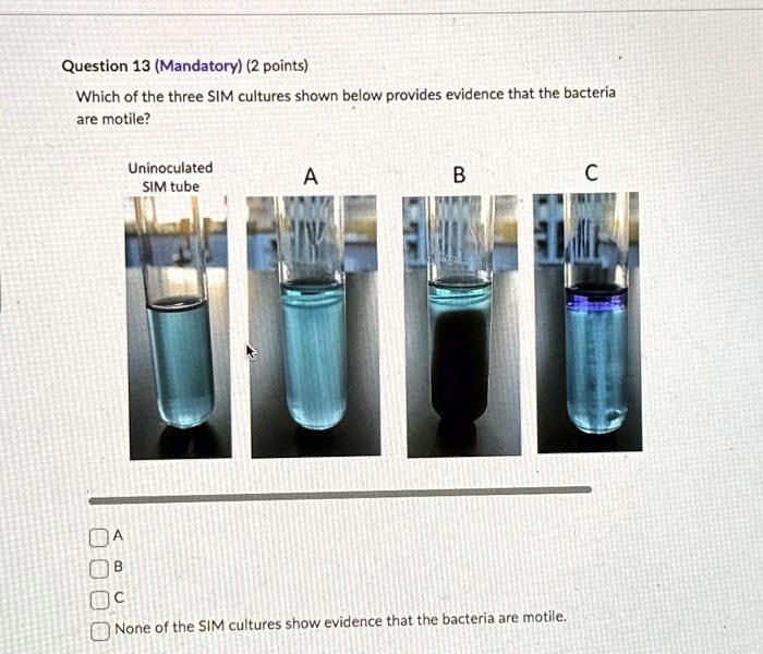 SOLVED: Question 13 (Mandatory) (2 points) Which of the three SIM ...