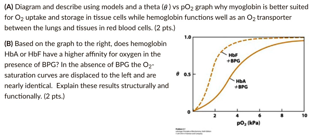 SOLVED: (A) Diagram and describe using models and a theta (Î¸) vs pO2 ...