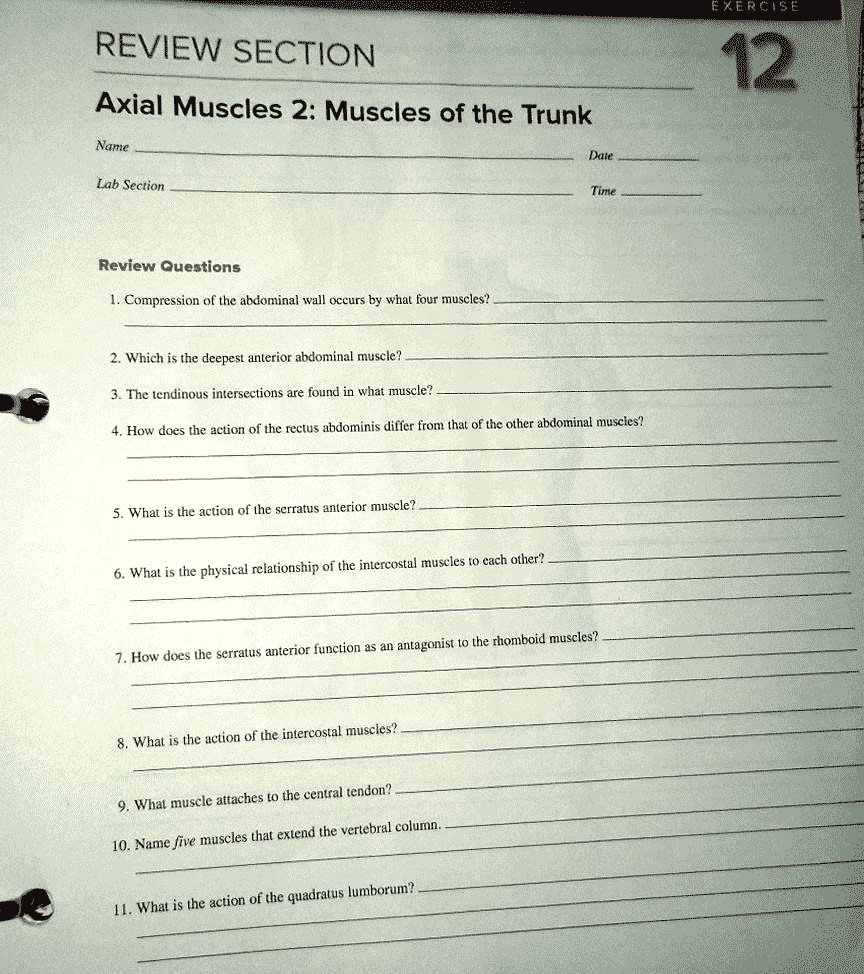 exercise 12 review section axial muscles 2 muscles of the trunk name ...