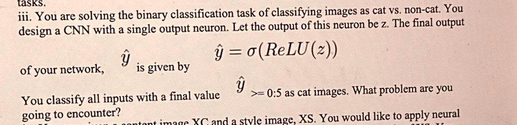 Solved Iii You Are Solving The Binary Classification Task Of Classifying Images As Cat Vs Non 4727