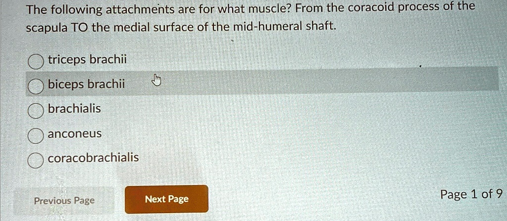 The following attachments are for what muscle? From the coracoid ...