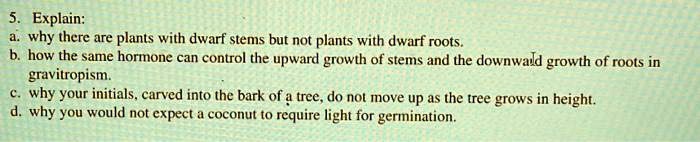 SOLVED: 5. Explain: a. Why there are plants with dwarf stems but not ...