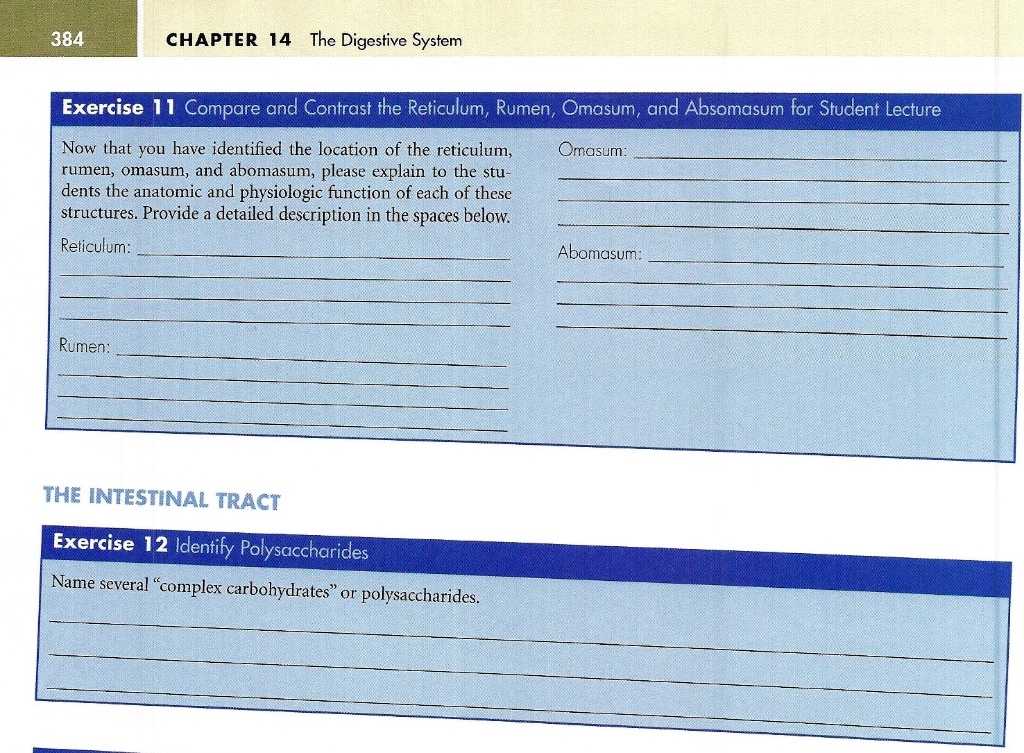 CHAPTER 14 The Digestive System Exercise 11 Compare and...