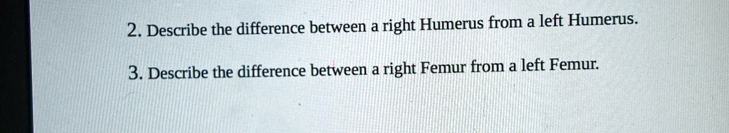 2. Describe the difference between a right Humerus from a...