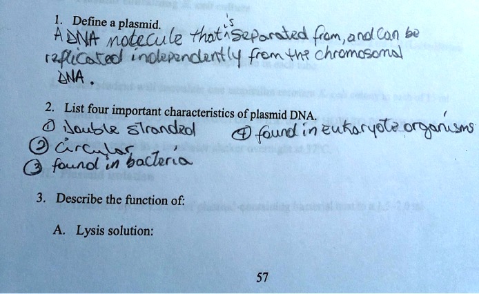 SOLVED: Define = plasmid. And note that "Separated DNA can be ...