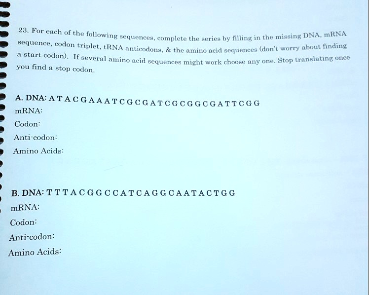 SOLVED: For each of the following sequences complete the series by ...