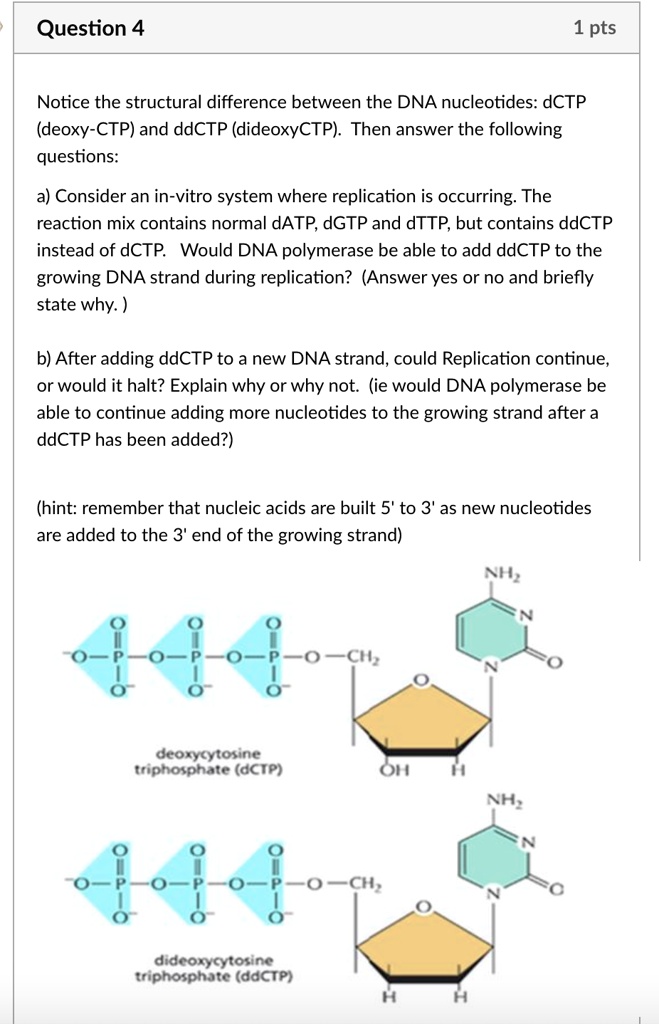 SOLVED:Question 4 1 pts Notice the structural difference between the ...