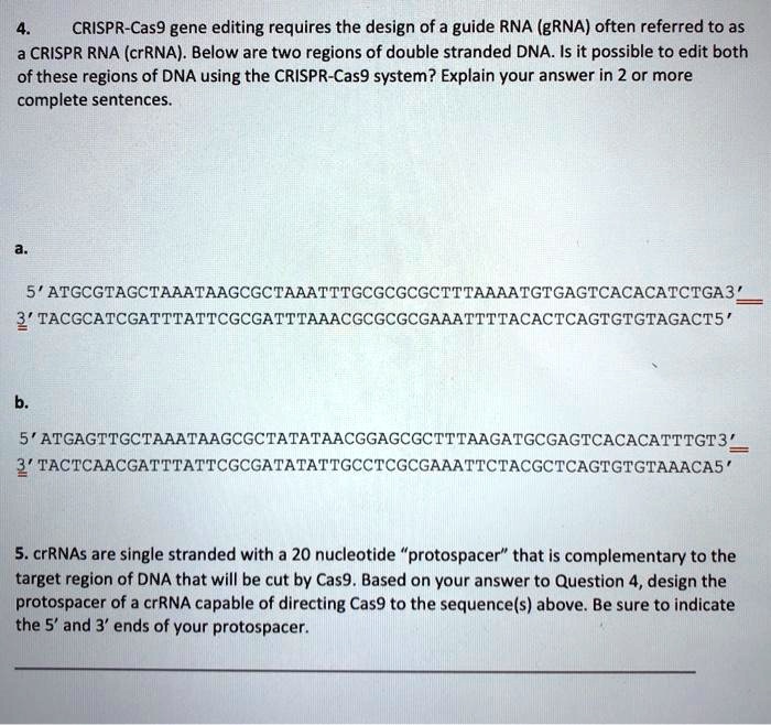SOLVED:CRISPR-Cas9 gene editing requires the design ofa guide RNA (gRNA ...