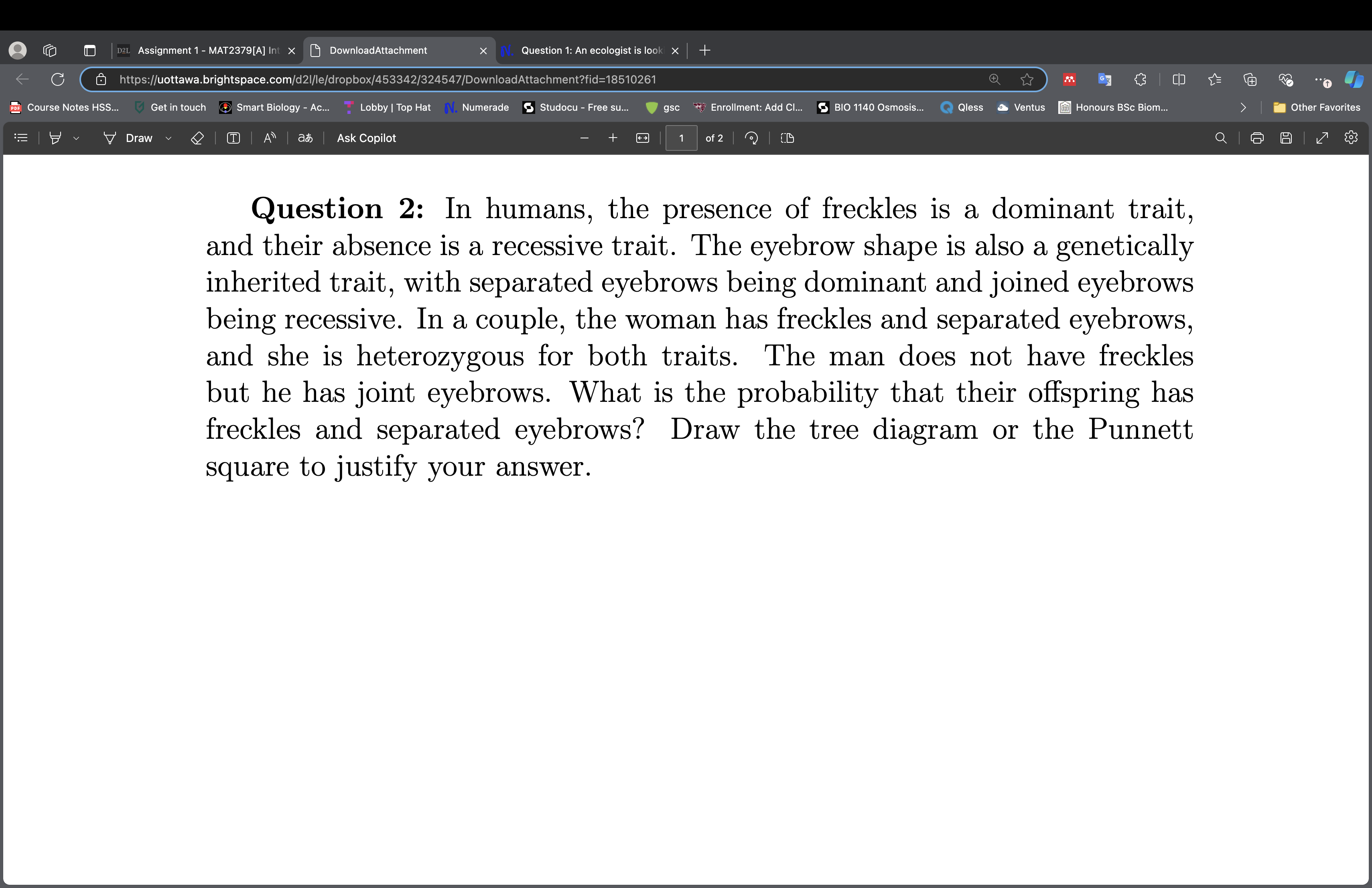 question 2 in humans the presence of freckles is a dominant trait and ...