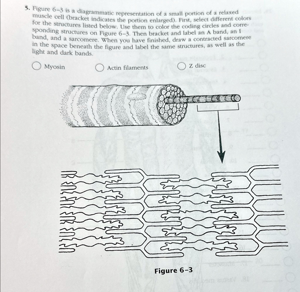SOLVED: Figure 6-3 is a diagrammatic representation of a small portion ...