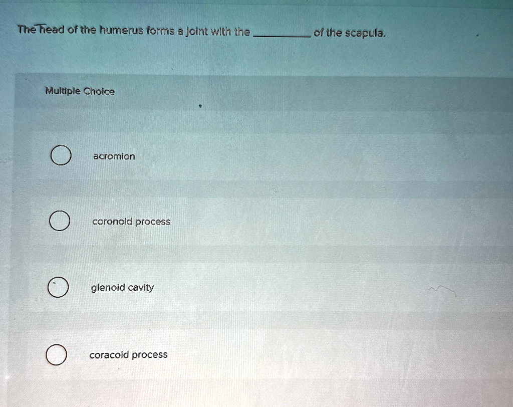 The head of the humerus forms a joint with the of the scapula. Multiple ...
