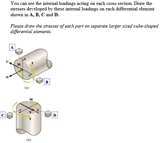 SOLVED: You can see the internal loadings acting on each cross section. Draw the stresses ...