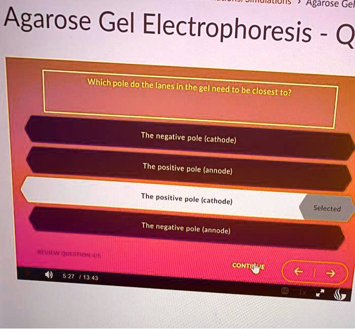 Agarose Gel Electrophoresis Which pole do the lanes in the gel need to ...