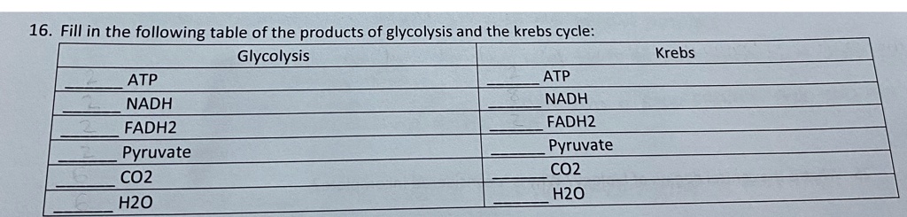 SOLVED: Fill in the following table of the products of glycolysis and the Krebs cycle ...