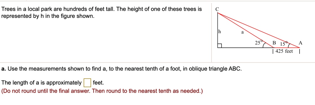 trees in a local park are hundreds of feet tall the height of one of ...