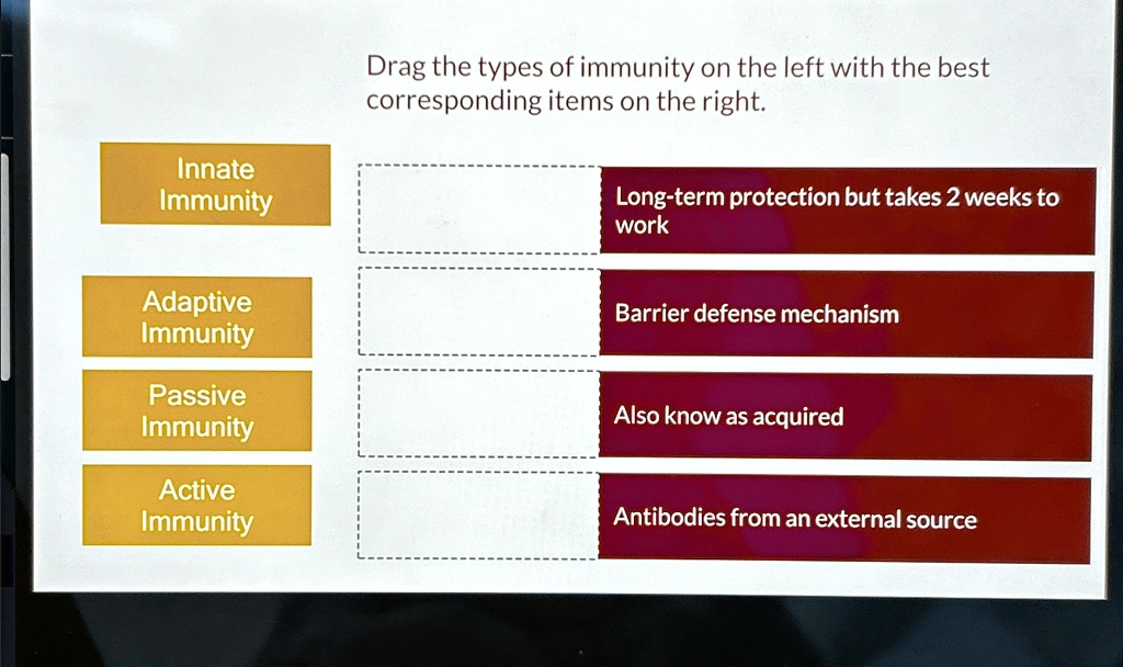 drag the types of immunity on the left with the best corresponding ...