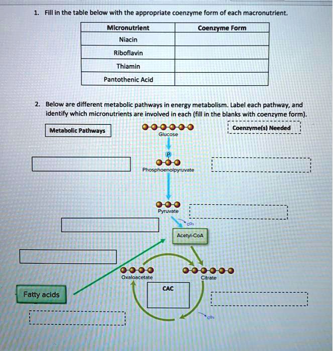 SOLVED: Fill in the table below with the appropriate coenzyme form of ...