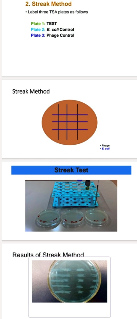 2 streak method label three tsa plates as follows plate test plate 2 e ...