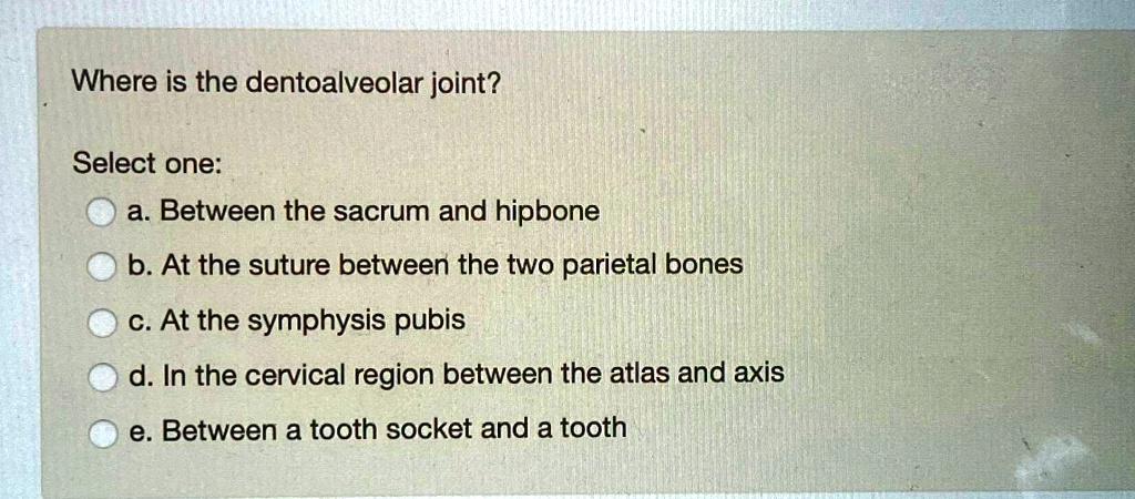 Where is the dentoalveolar joint? Select one: a. Between the sacrum and ...