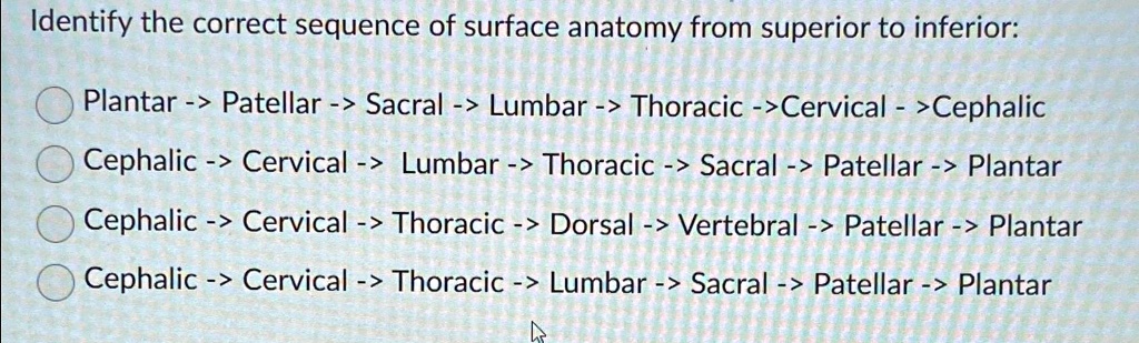 Identify the correct sequence of surface anatomy from superior to ...