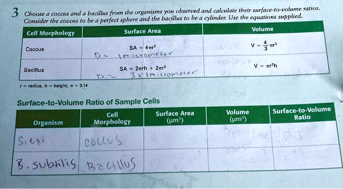 SOLVED: Can someone please explain this to me? I don't understand ...