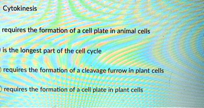 cytokinesis requires the formation of a cell plate in animal cells is ...