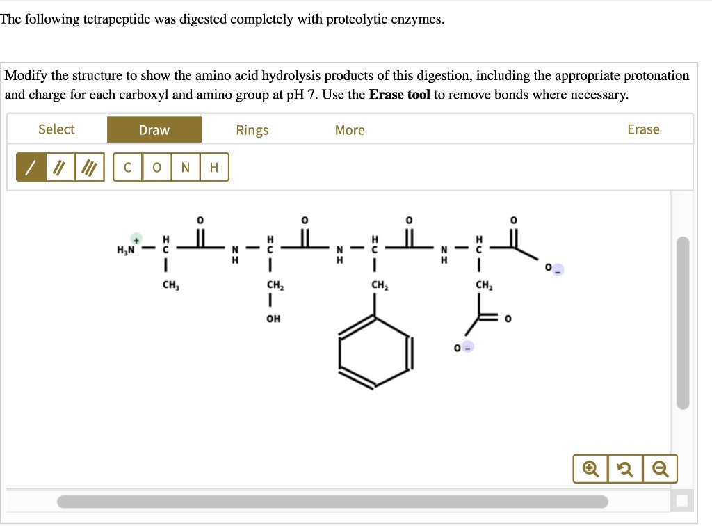 SOLVED: The following tetrapeptide was digested completely with ...