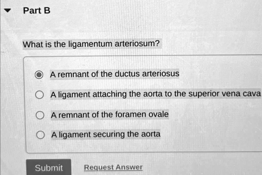 Part B What is the ligamentum arteriosum? A remnant of the ductus ...