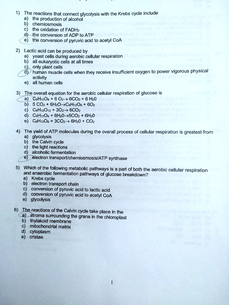 SOLVED: The reactions that connect glycolysis with the Krebs cycle ...
