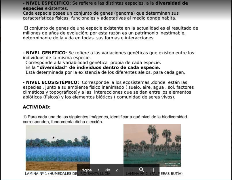 SOLVED: A que nivel de biodiversidad pertenecen estas imagenes ...