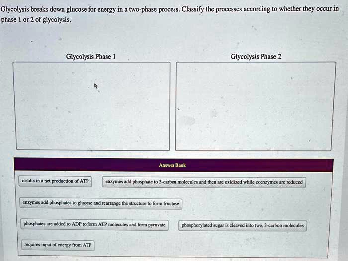 Glycolysis breaks down glucose for energy in a two-phase process. Classify the processes ...