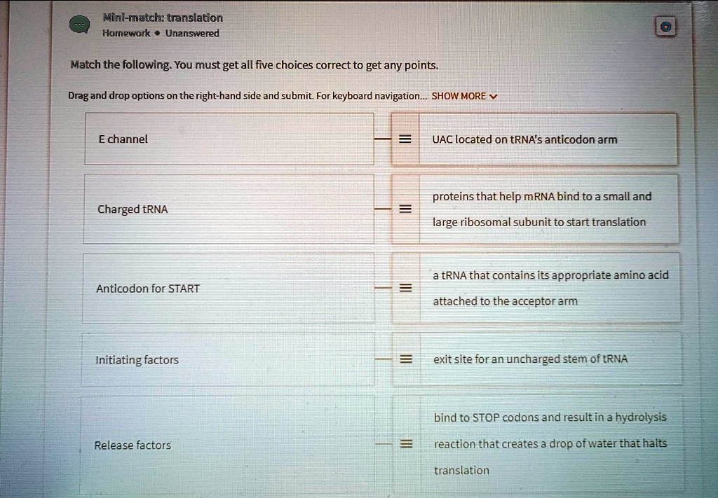 mini match translation homeworx unanswered match the following you must ...