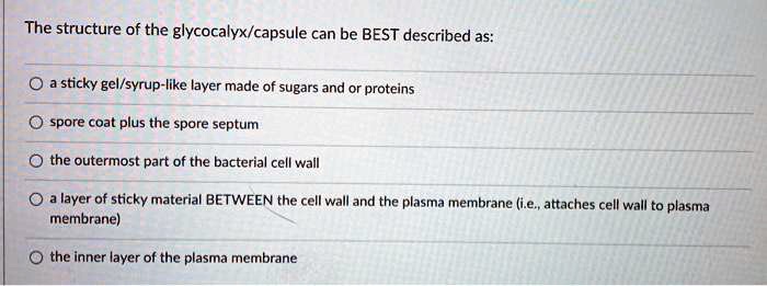 SOLVED: The structure of the glycocalyx/capsule can be BEST described ...