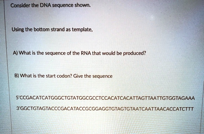 SOLVED: Consider the DNA sequence shown: Using the bottom strand as a template, A) What is the ...