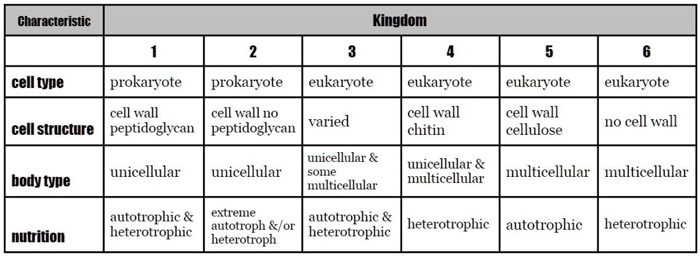characteristic kingdom cell type prokaryote prokaryote eukaryote ...