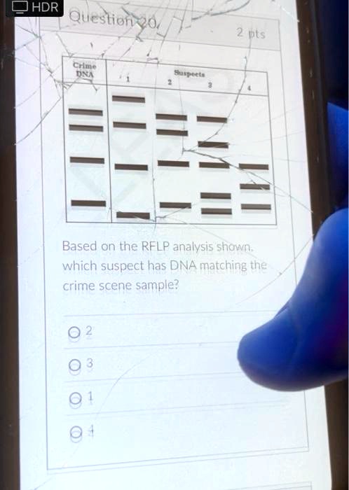 SOLVED: HDR Juestion 2.bts Crime DNA Suspeets Based on the RFLP ...