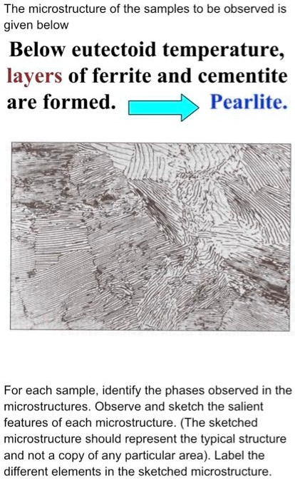 SOLVED: The microstructure of the samples to be observed is given below ...