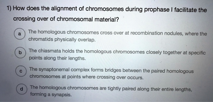 SOLVED: 1) How does the alignment of chromosomes during prophase ...