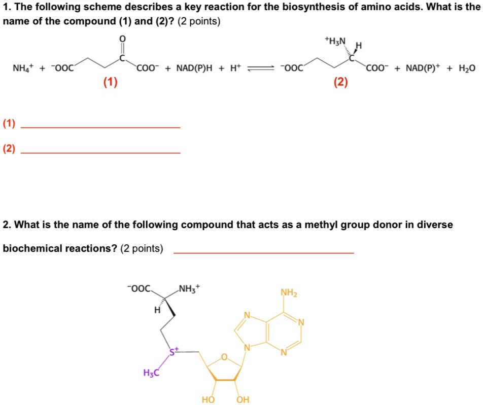 1. The following scheme describes a key reaction for the biosynthesis ...