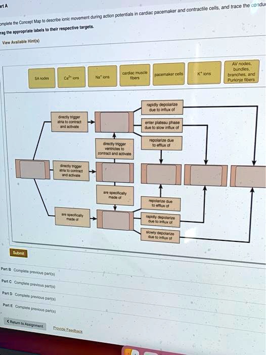 SOLVED: rtA mplete te Concept Map to describe ionic movement during ... SOLVED: rtA mplete te Concept Map to describe ionic movement during ...