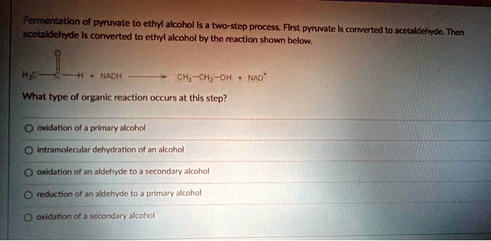 SOLVED: Fermentation of pyruvate to ethyl alcohol is a two-step process. First, pyruvate is ...