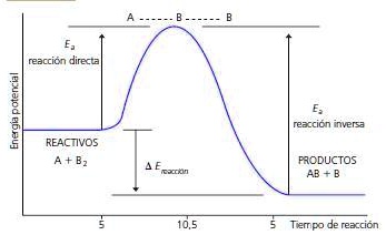 SOLVED: Explica el comportamiento de los reactivos y los productos en ...