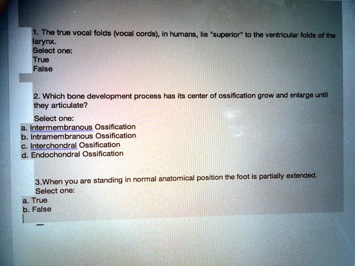 SOLVED: The true vocal folds, also known as vocal cords, in humans, lie ...