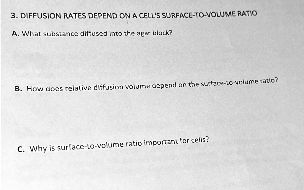 3. DIFFUSION RATES DEPEND ON A CELL'S SURFACE-TO-VOLUME RATIO A. What ...