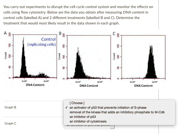 you carry out experiments disrupt the cell cycle control system and ...