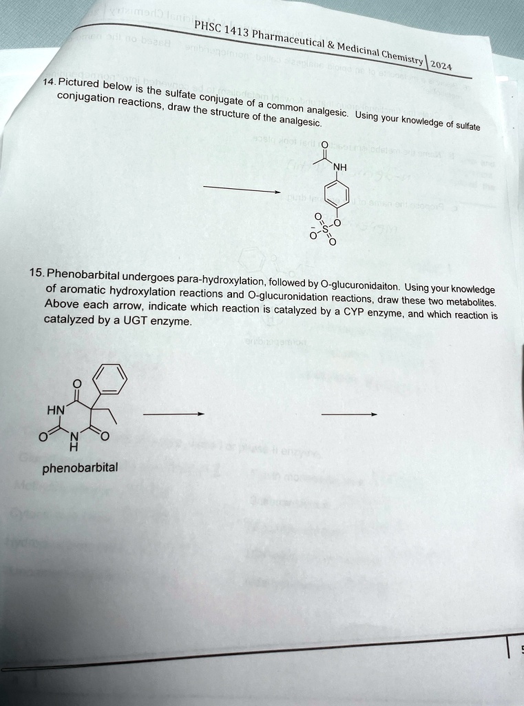 14 pictured below is the sulfate conjugate of a common analgesic using ...