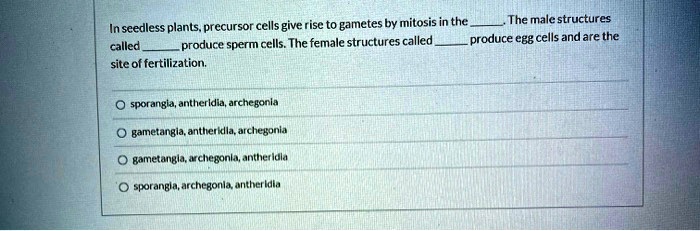 SOLVED: In seedless plants, precursor cells giverise to gametes by ...