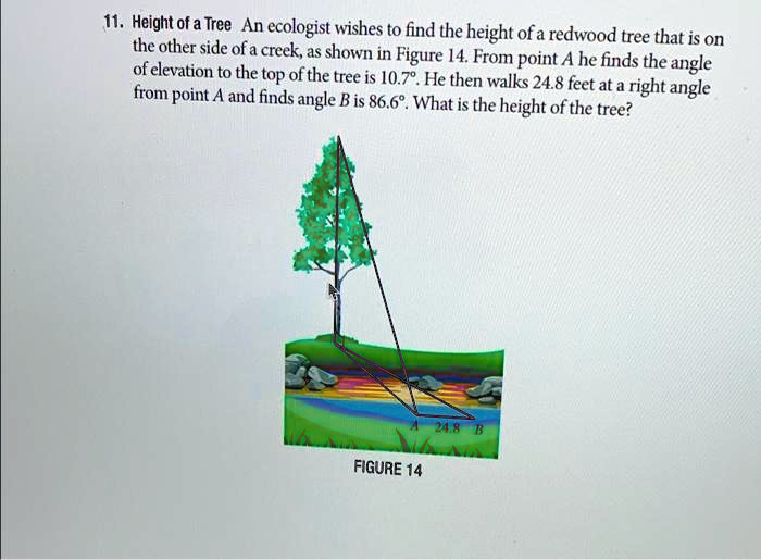 11. Height of a Tree An ecologist wishes to find the height of a ...